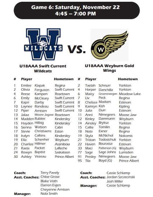 Female Hockey Showcase '25 spotlighting all levels of Western Prairie hockey - WestCentralOnline ...